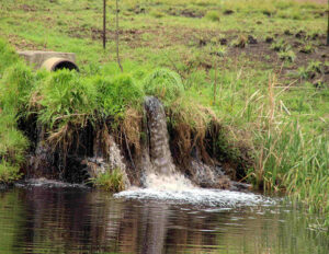 Water-Related Authorisations and Water Use Licenses» CBSS